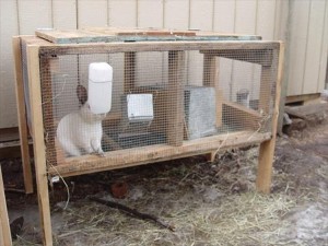Rabbit Hutches Made from Pallets – Pallet Wood Projects